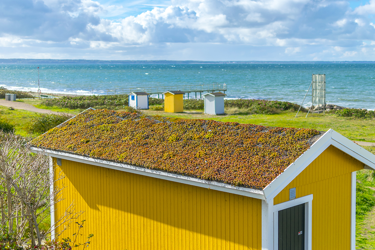 Sedumtak och Gröna Tak Vattenhållande Kapacitet på 20 l/m2 lutning 3,6 ...